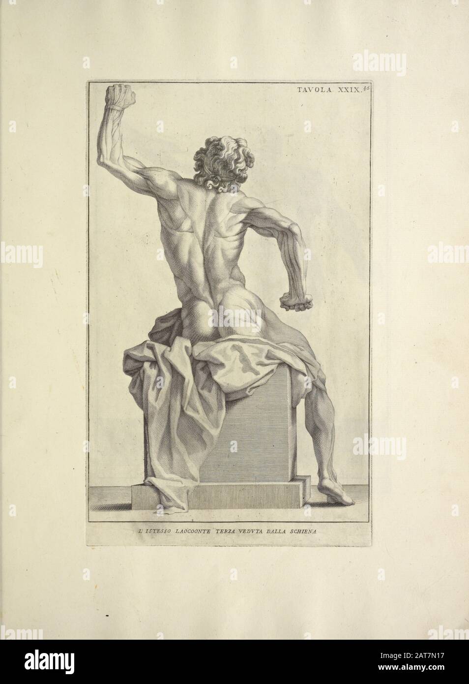 Male full body back woodcut print of Human Anatomy from Anatomia per ...