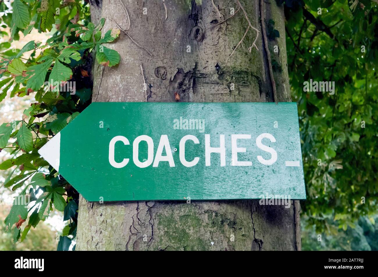 A wooden sign shaped like an arrow showing people which way to get ...