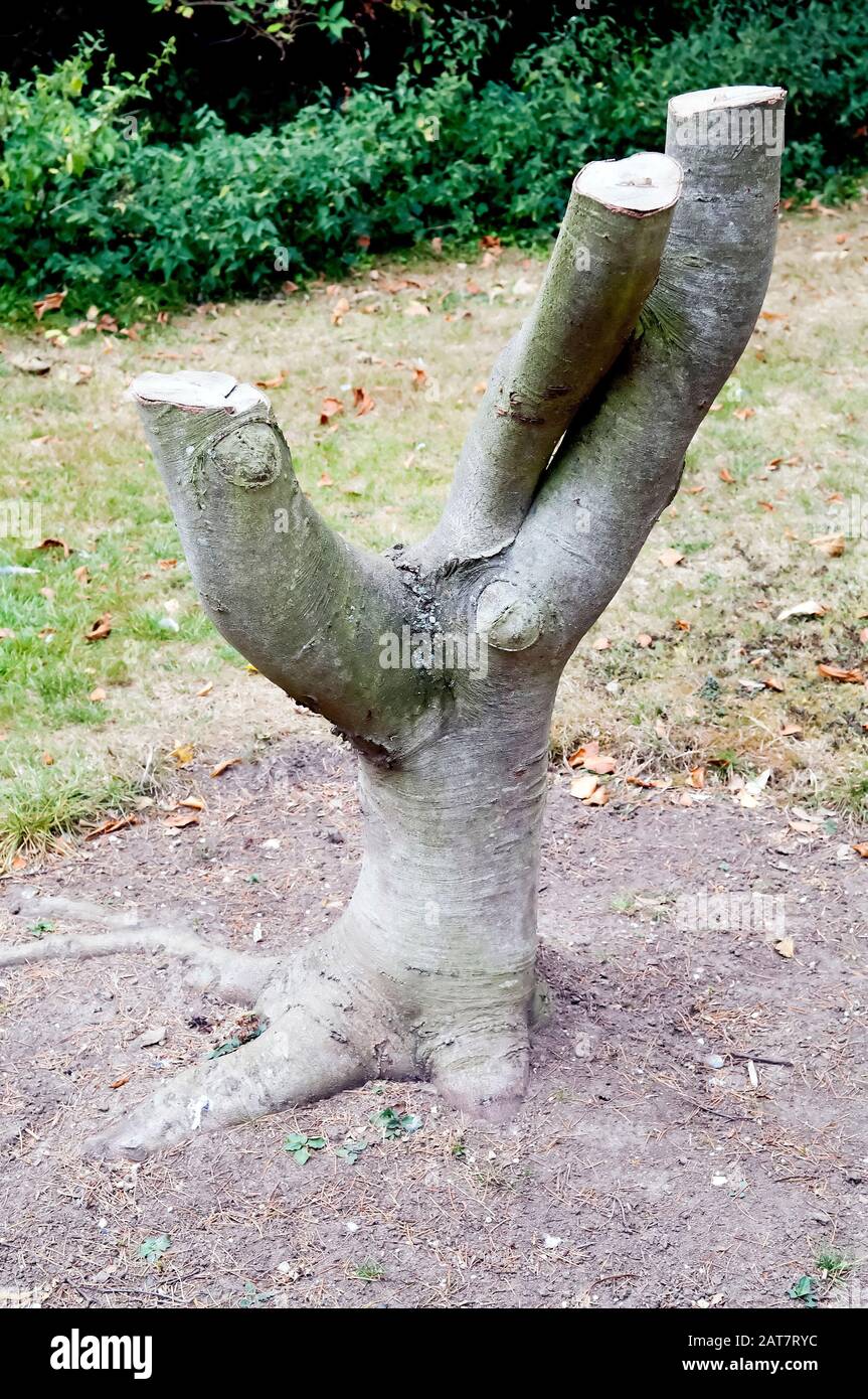 Lumpy ground hi-res stock photography and images - Alamy