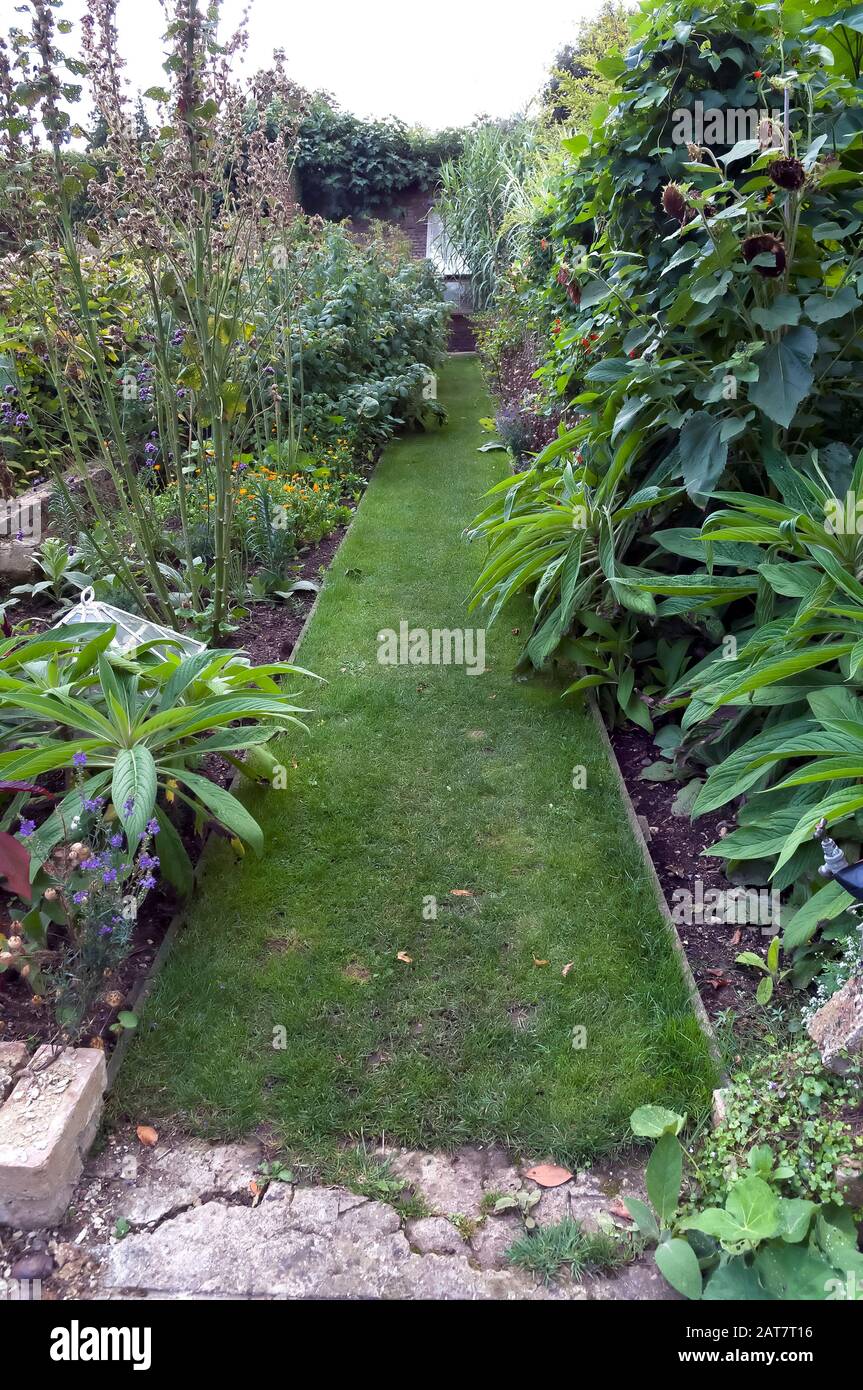 A grass garden pathway Stock Photo - Alamy
