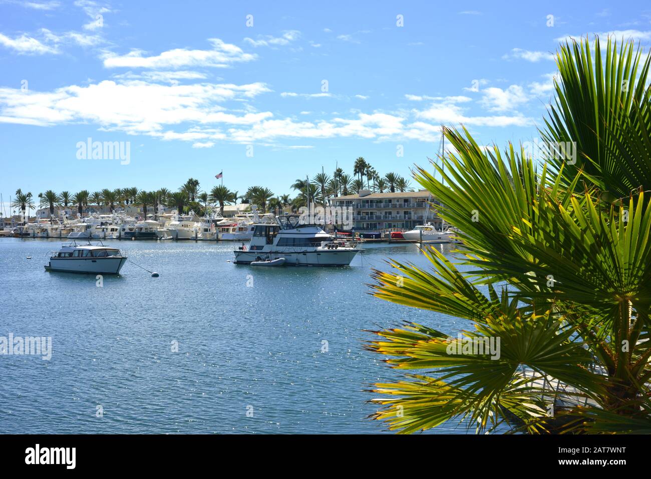 Newport Beach California USA Yacht Harbour Stock Photo - Alamy