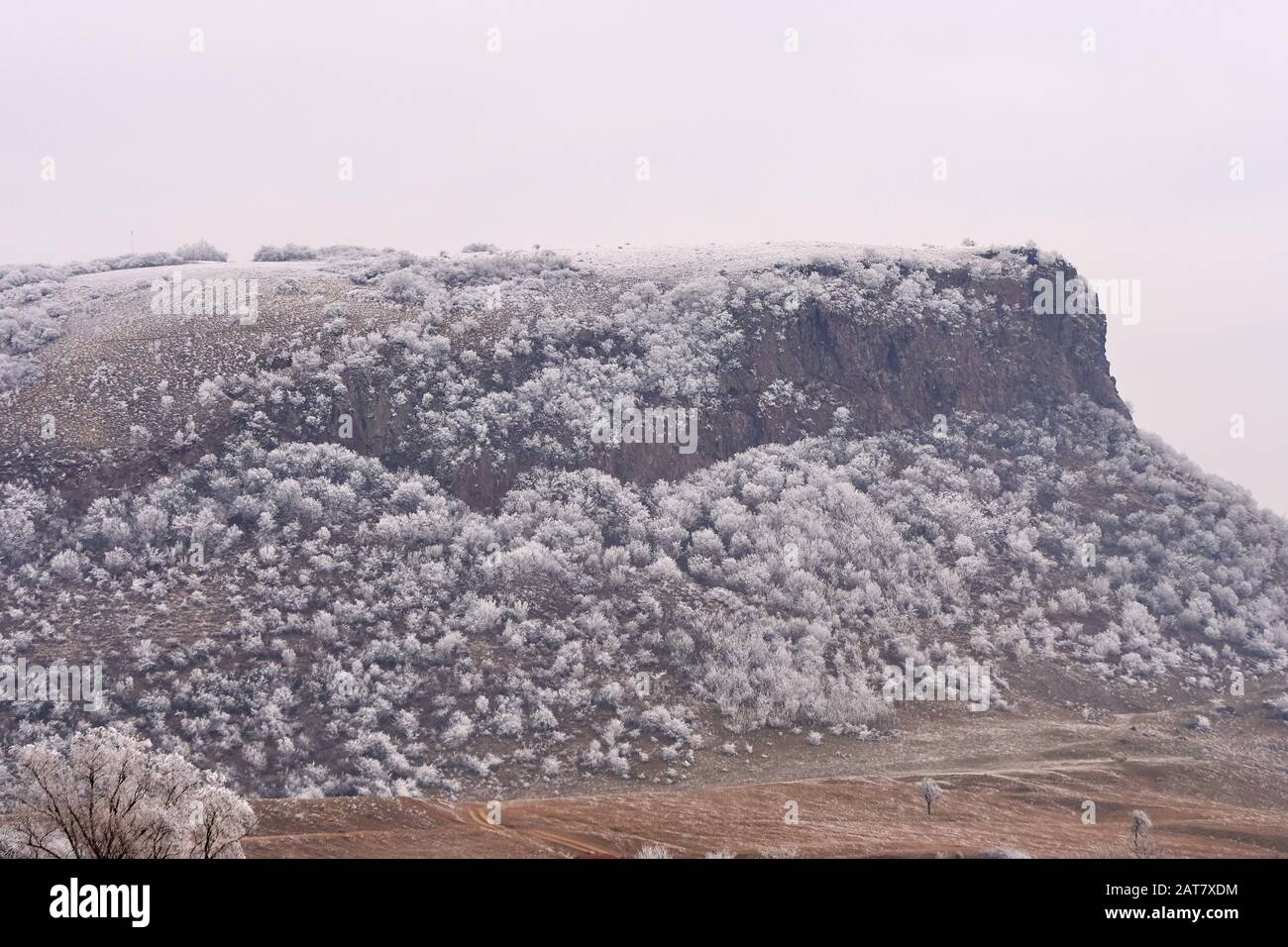 Uroi hi-res stock photography and images - Alamy