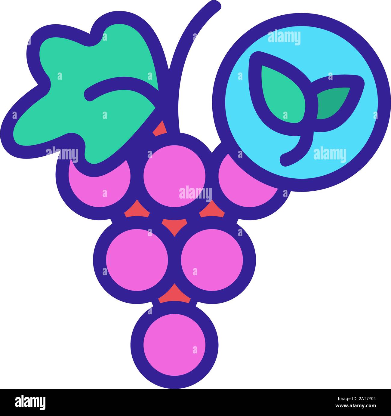 Natural grape icon vector. Isolated contour symbol illustration Stock ...