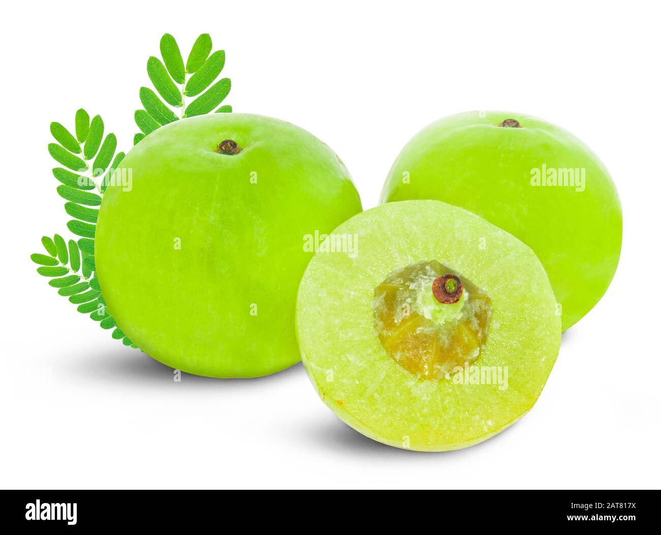 Single indian gooseberry hi-res stock photography and images - Alamy
