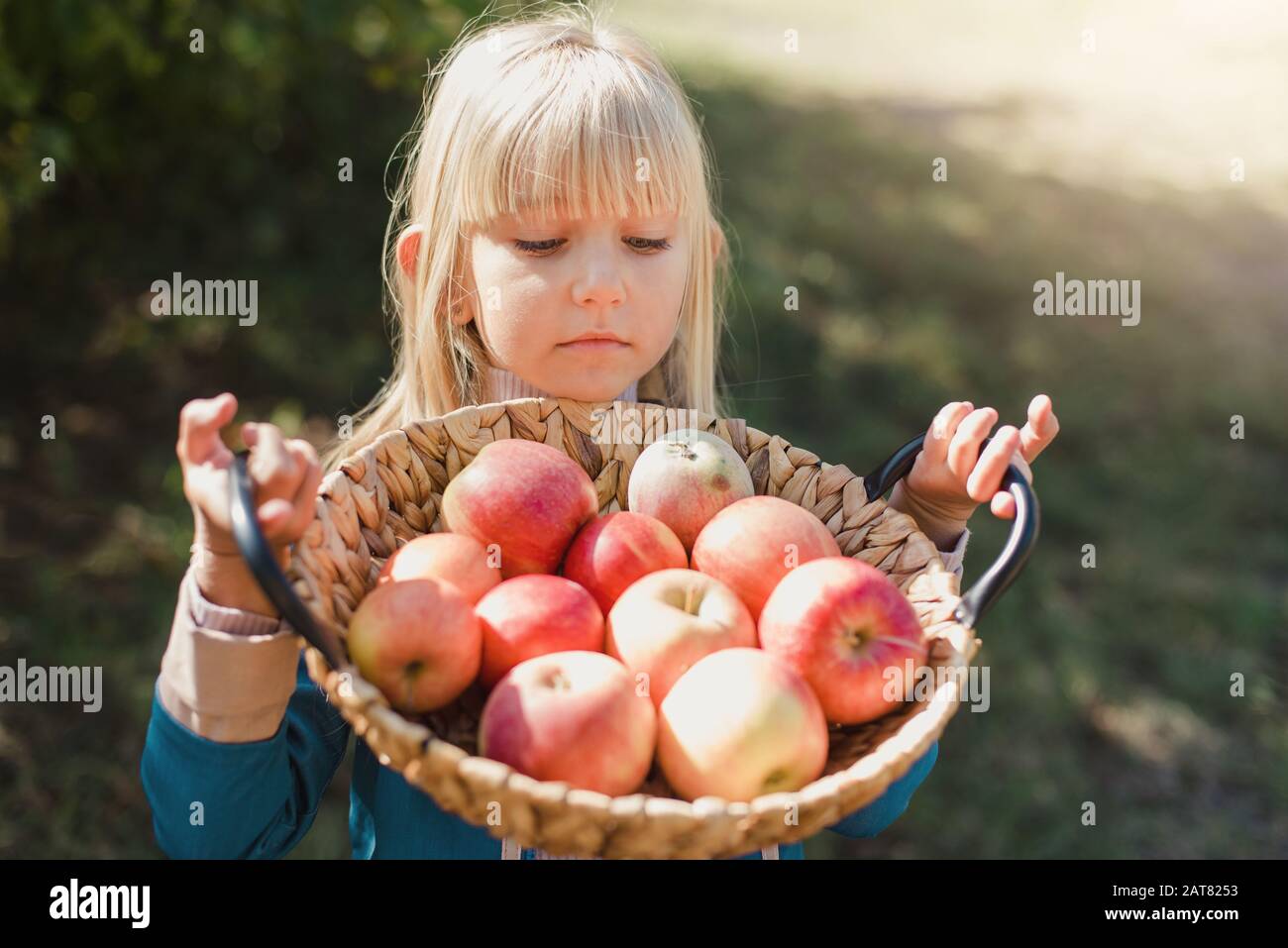 portrait of girl eating red organic apple outdoor. Harvest Concept ...