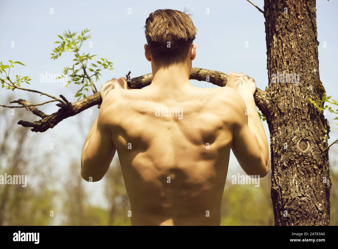 Concept of sport and working out with guy doing pull ups on tree branch ...