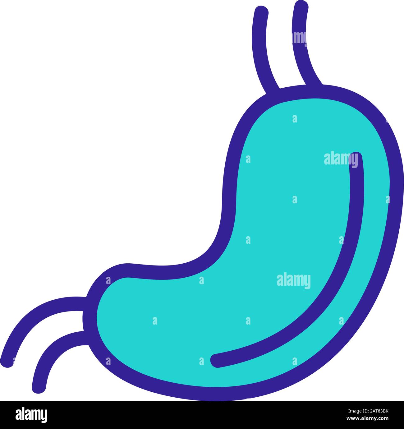 Stomach body icon vector. Isolated contour symbol illustration Stock ...