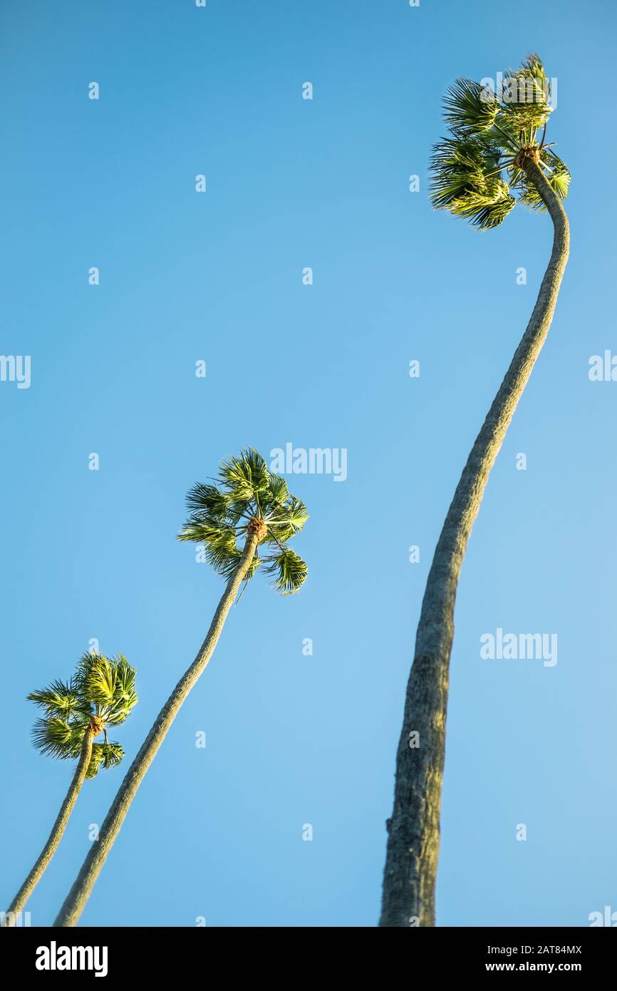 Tilt upwards hi-res stock photography and images - Alamy