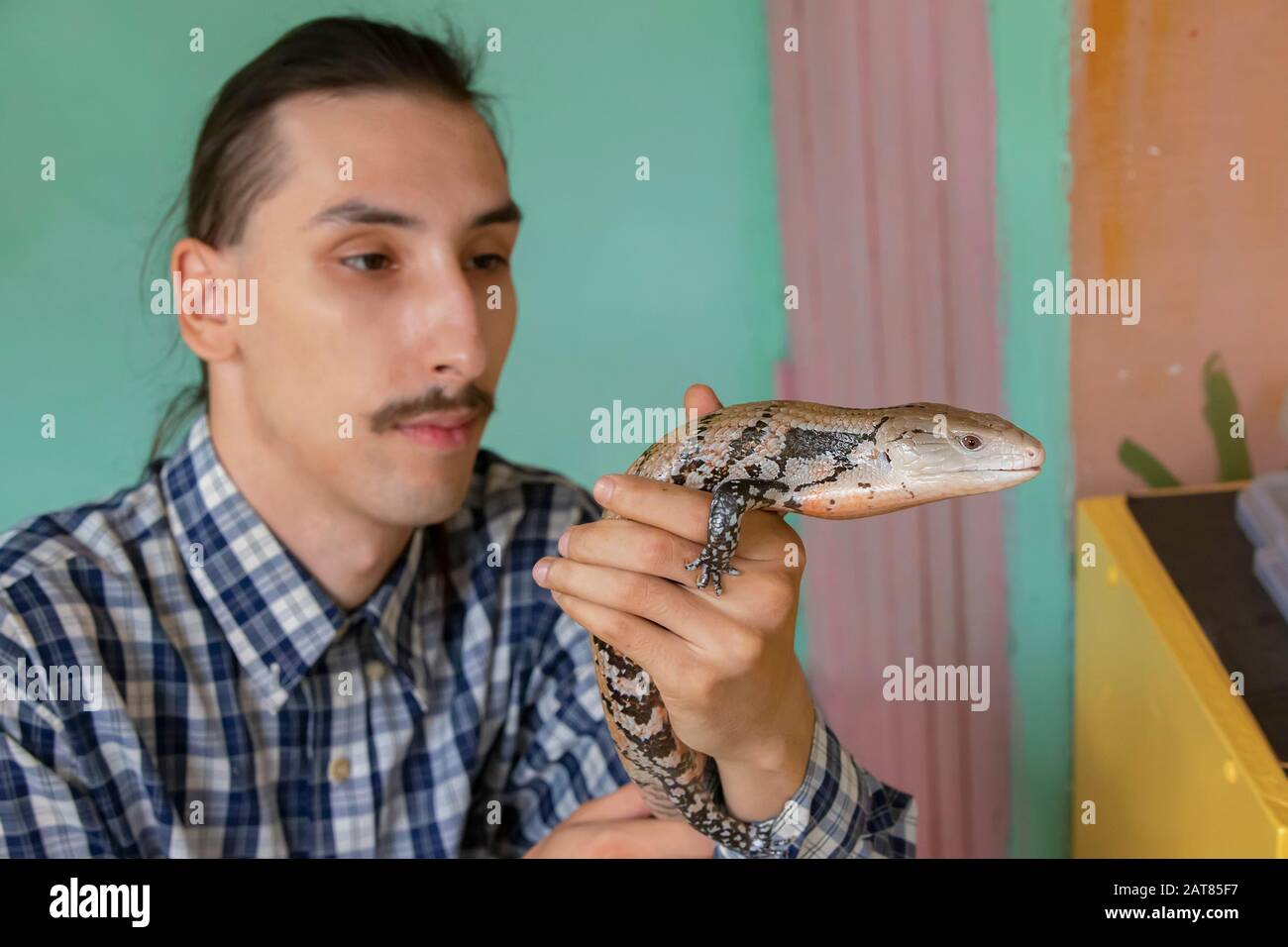 Herpetologist hi-res stock photography and images - Alamy