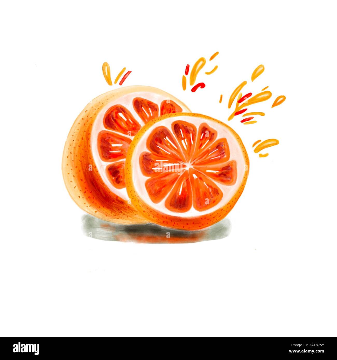 Watercolor image of two halves of an orange with splashes of juice ...