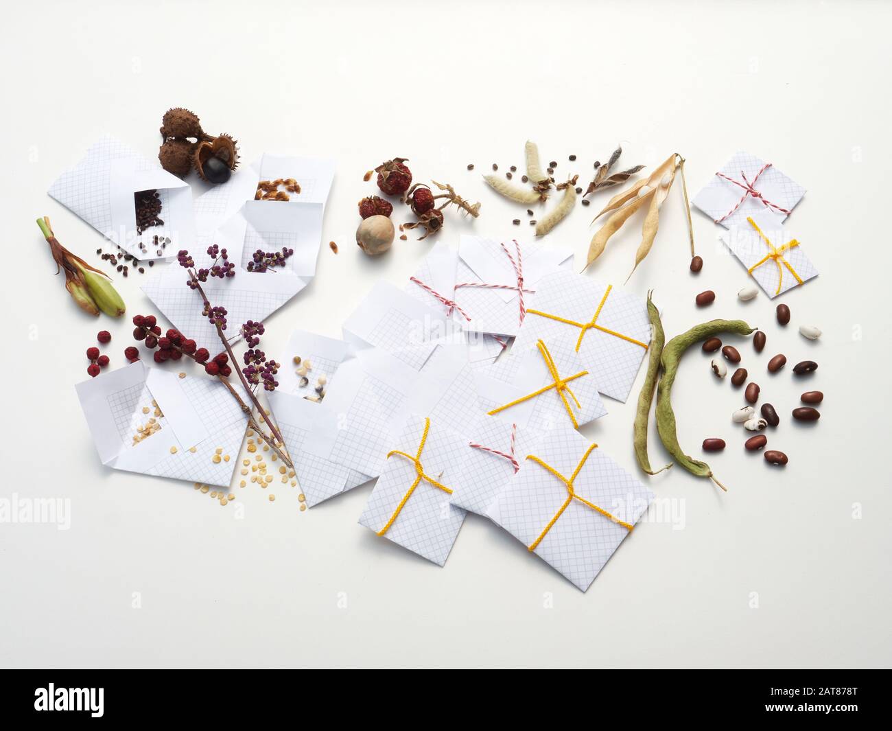 homemade white paper packets of seeds isolated on white Stock Photo - Alamy