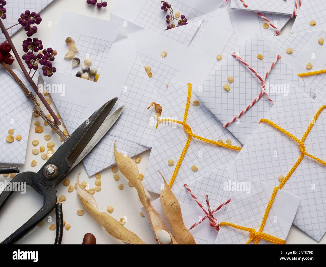 homemade white paper packets of seeds isolated on white Stock Photo - Alamy