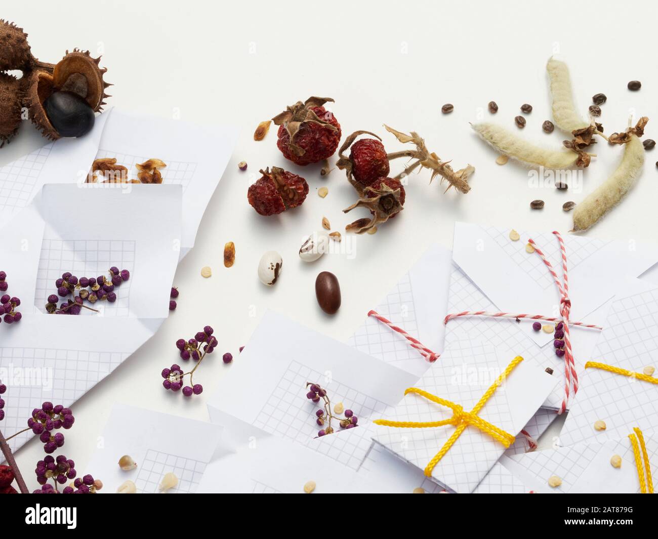 homemade white paper packets of seeds isolated on white Stock Photo - Alamy