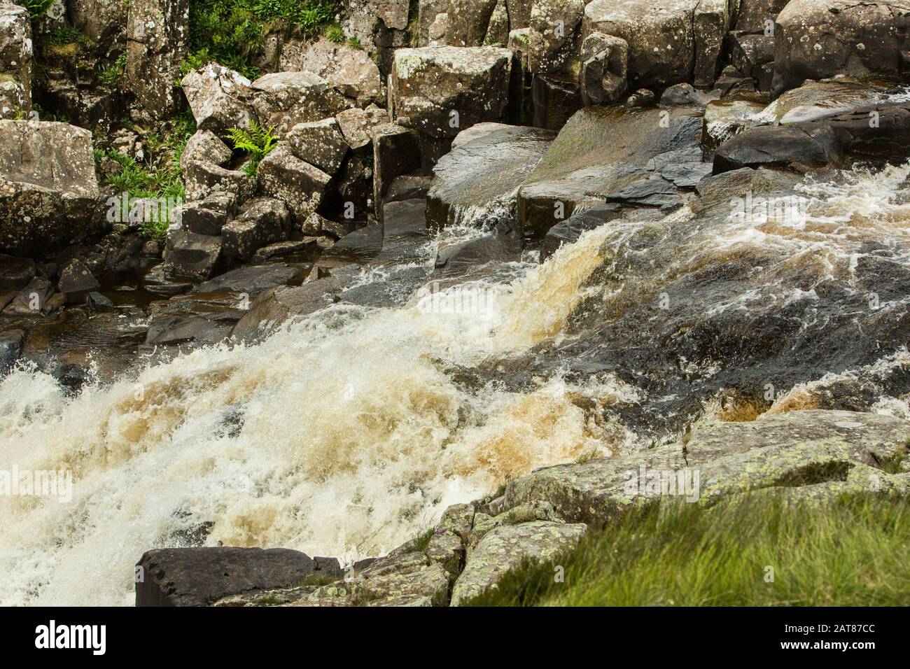 Cauldron snout hi-res stock photography and images - Alamy