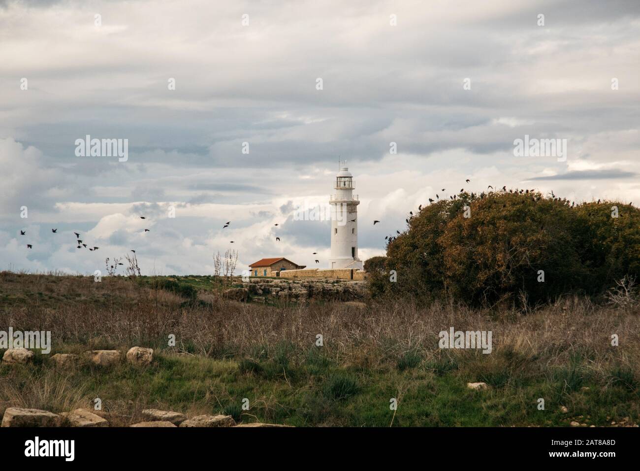 Lighthouse in the Archeological Park Paphos, Unesco World Heritage site ...