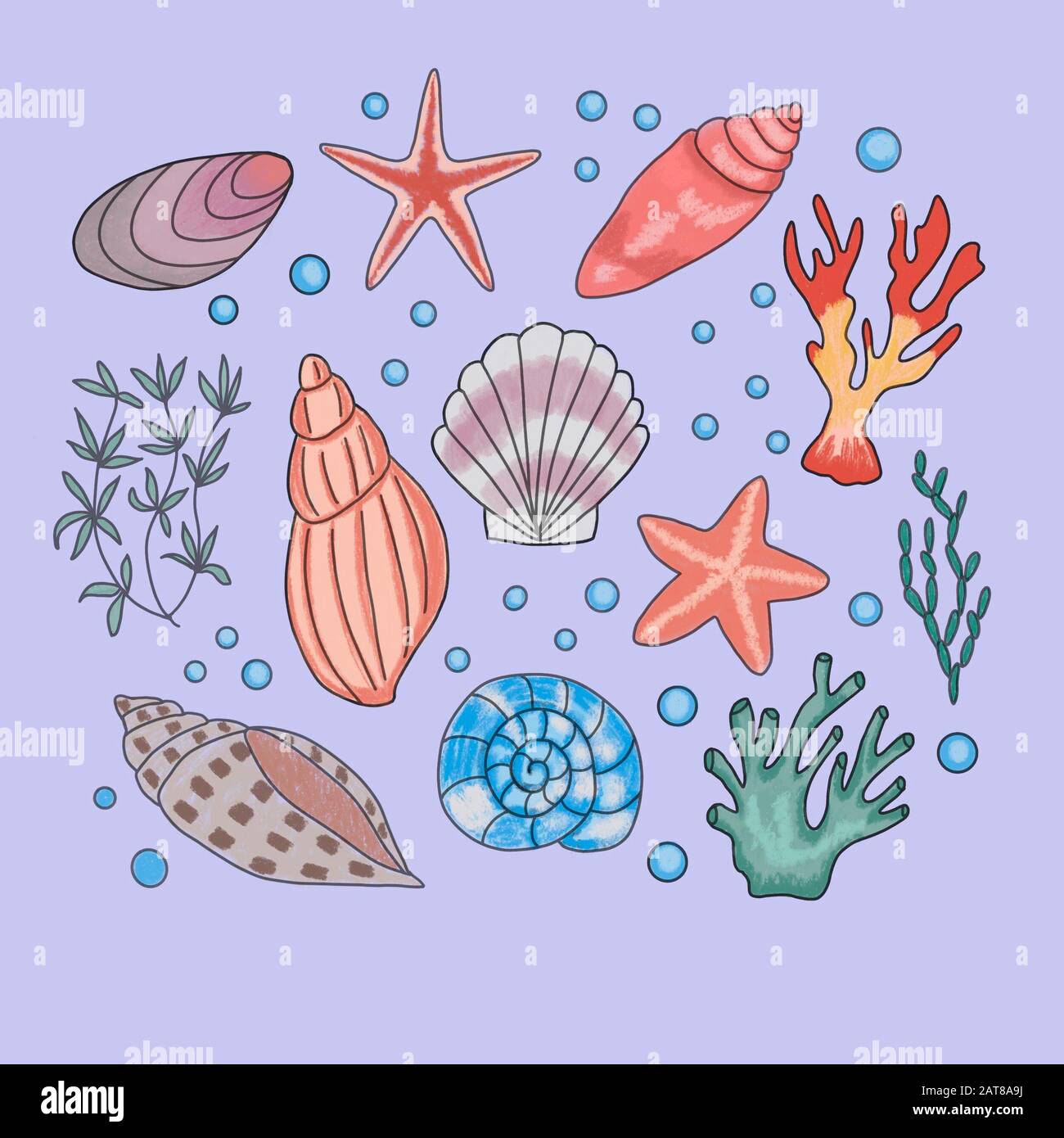 Shell drawing hi-res stock photography and images - Alamy