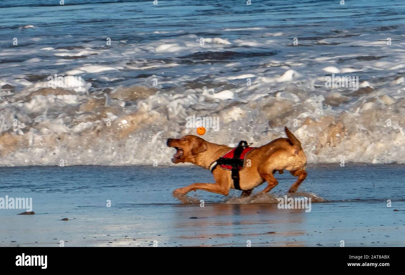 Good times hi-res stock photography and images - Alamy