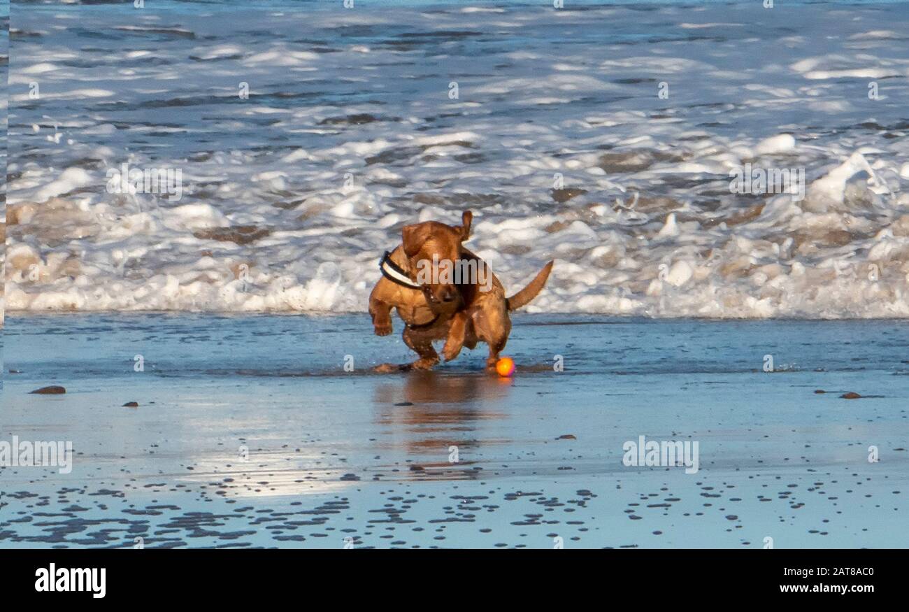 Dodging waves seaside hi-res stock photography and images - Alamy