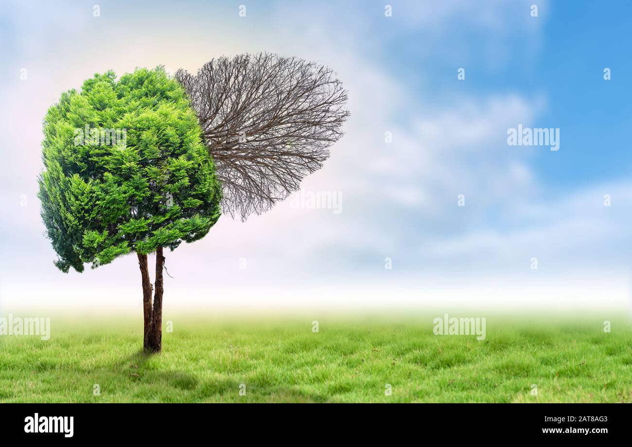 Realistic liver images are human green tree shapes about diseases and ...