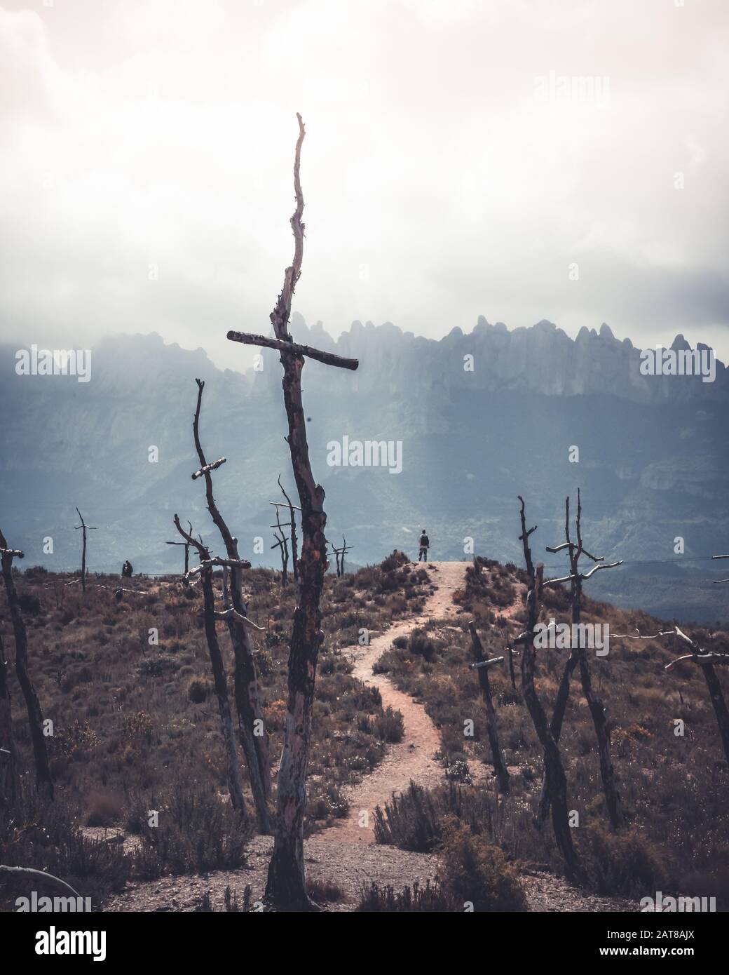 Deserted area covered with dried grass, mountains and wood crosses with ...