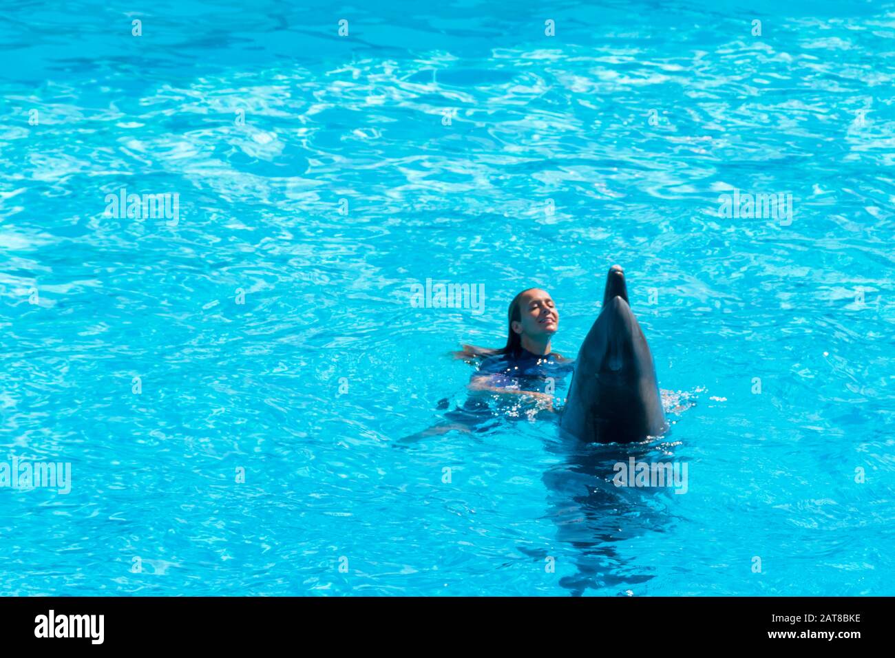 Dolphins carrying hi-res stock photography and images - Alamy