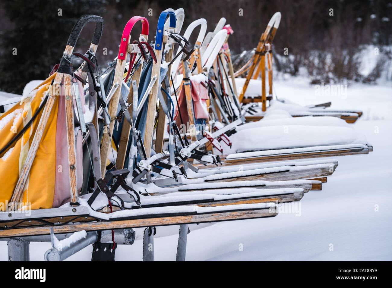 Dog sleds hi-res stock photography and images - Alamy