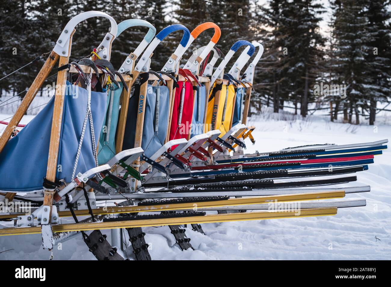 Dog sleds hi-res stock photography and images - Alamy