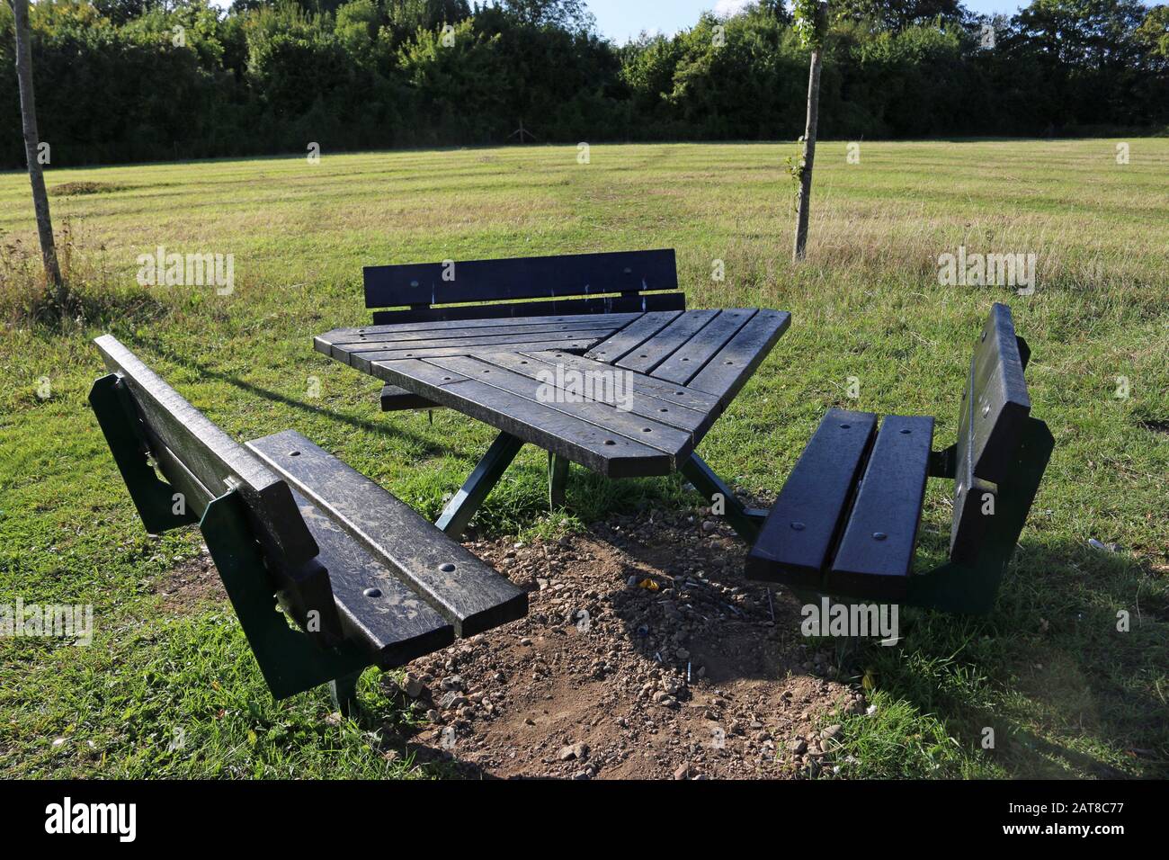 Triangular Picnic Table