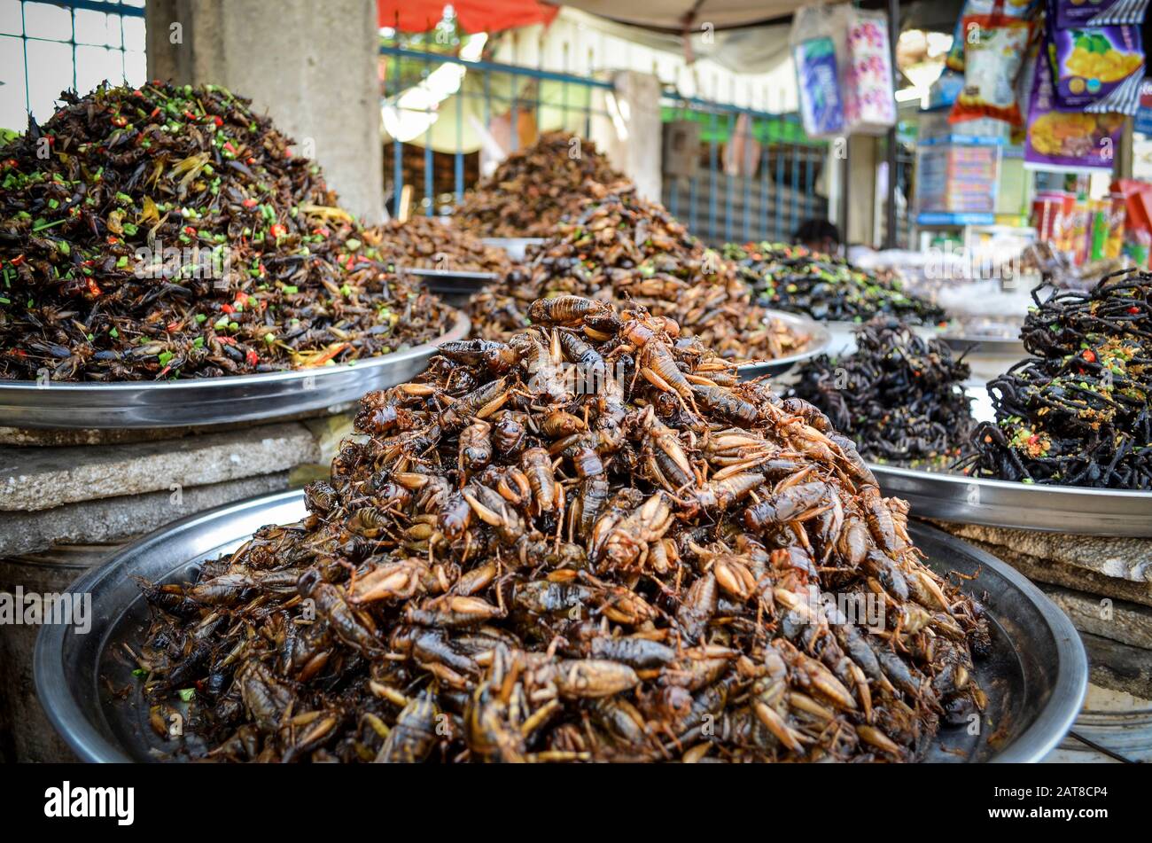 Food cambodia edible insects hi-res stock photography and images - Alamy