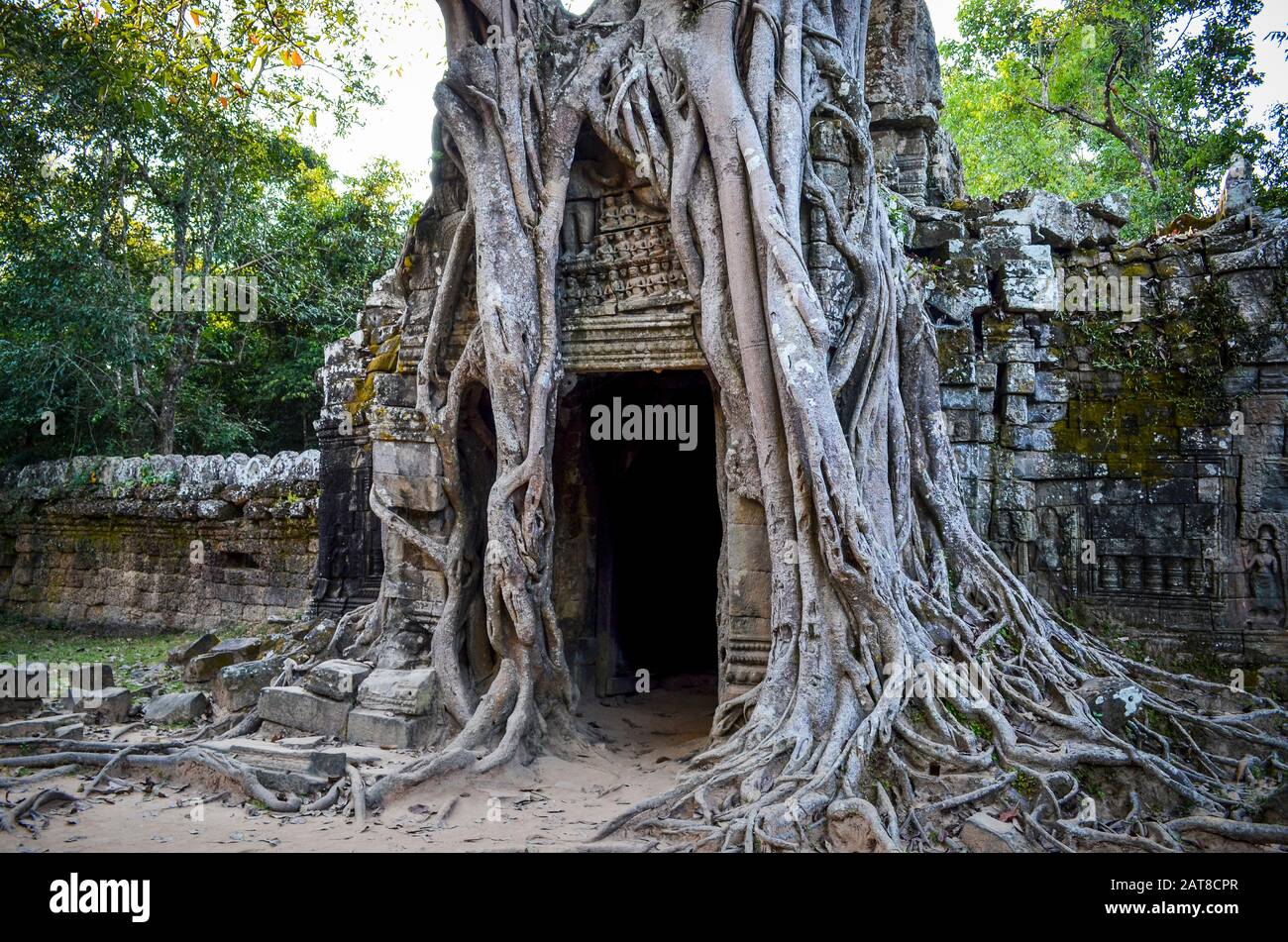 Ankor Wat, a 12th century historic Khmer temple and UNESCO world ...
