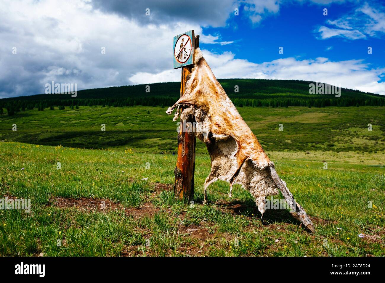 Stretched hide hi-res stock photography and images - Alamy
