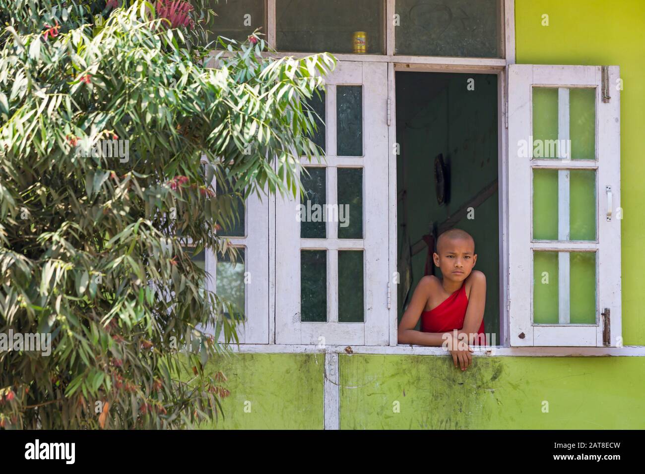 Young students looking out window hi-res stock photography and images ...