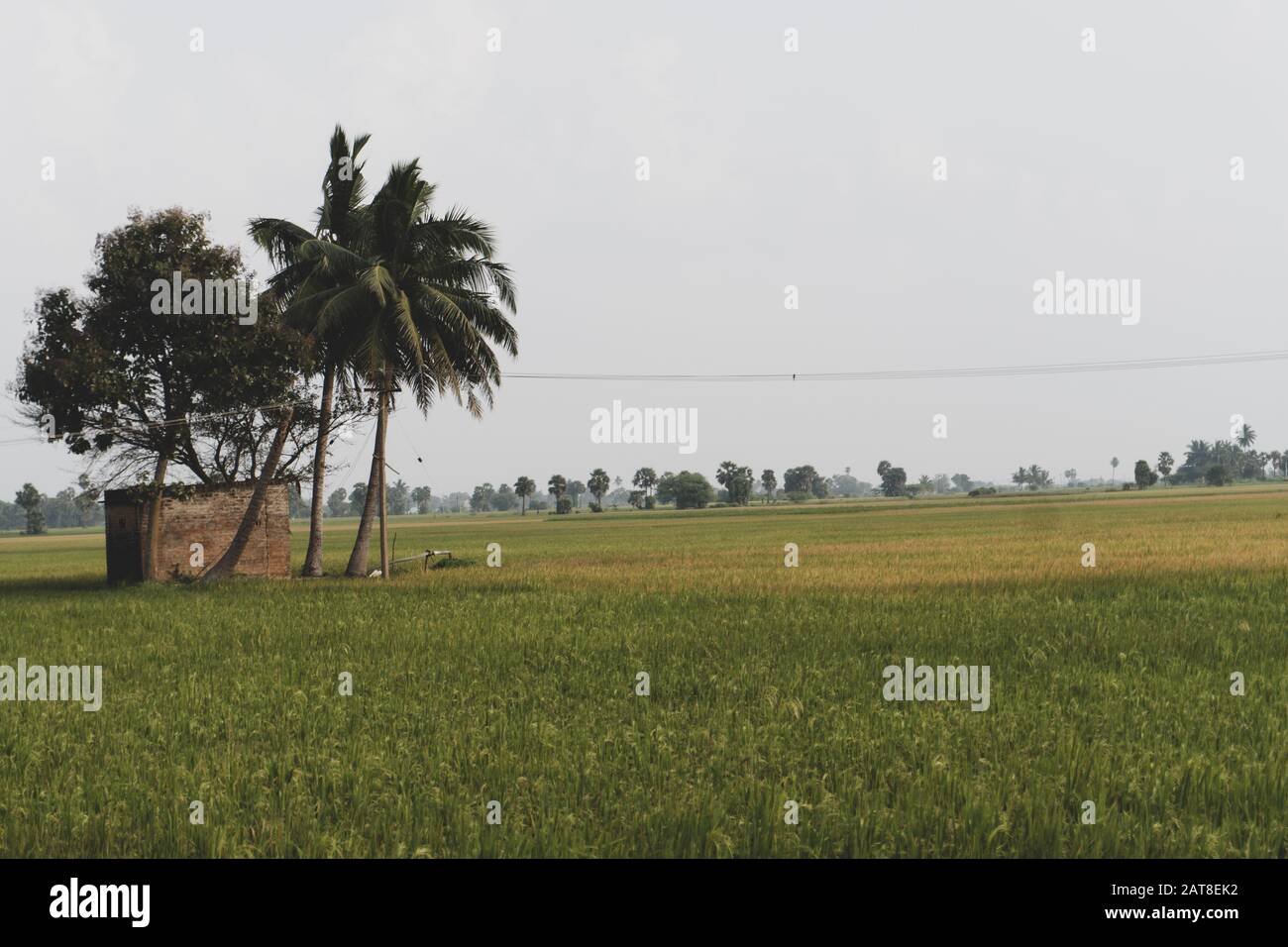 Wide view of a agriculture land Stock Photo - Alamy