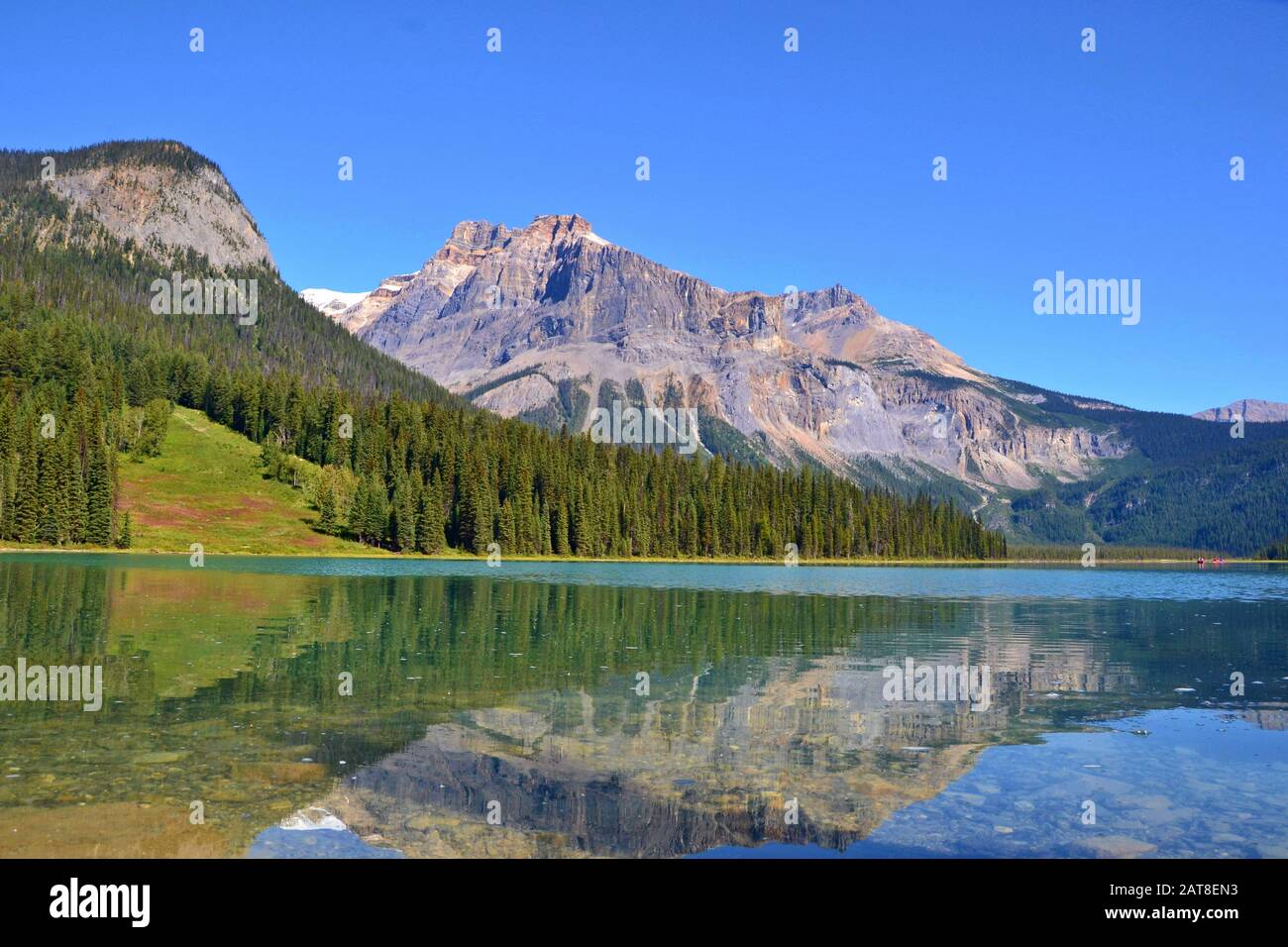 Emerald lake hi-res stock photography and images - Alamy
