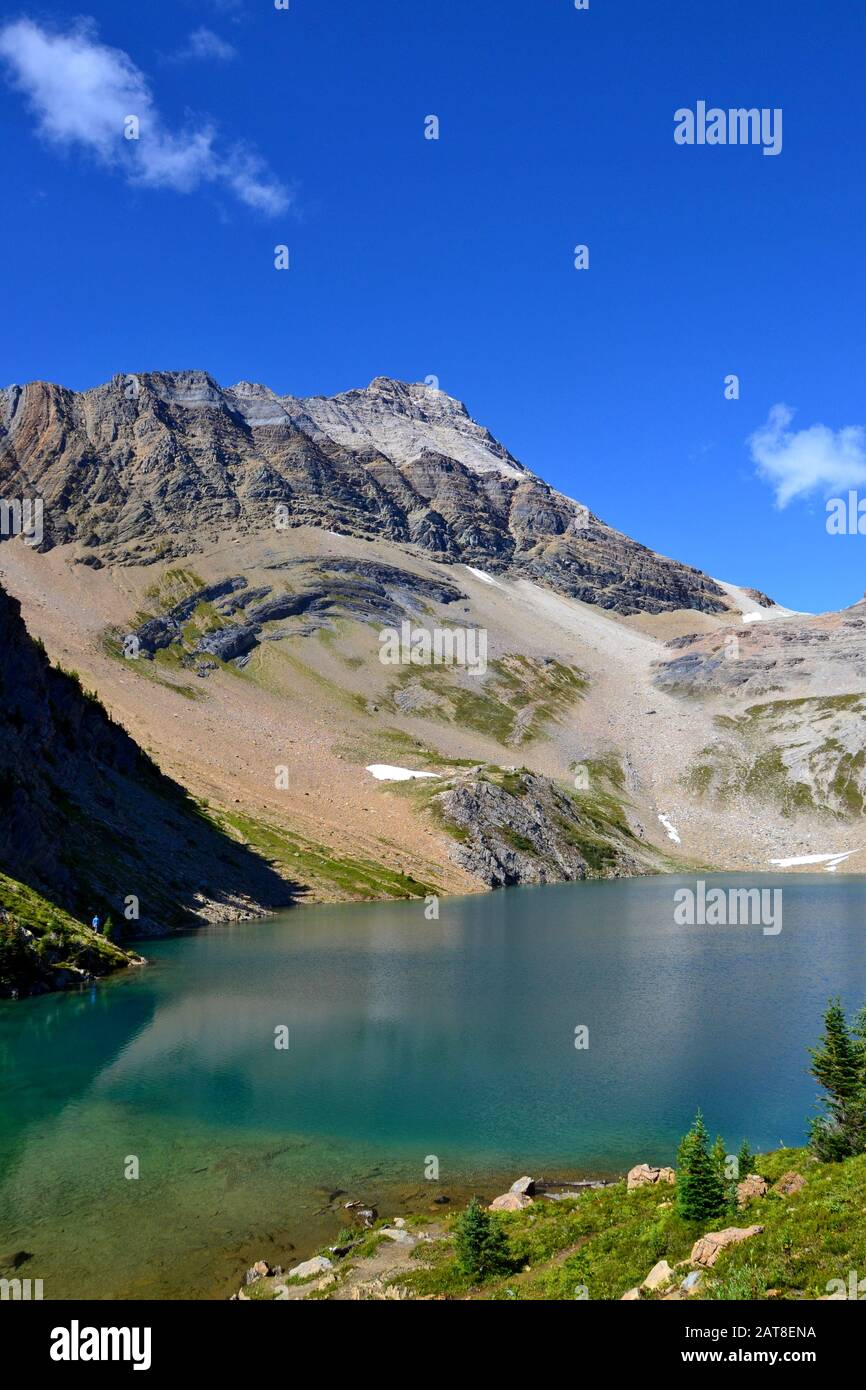 Hamilton lake hi-res stock photography and images - Alamy