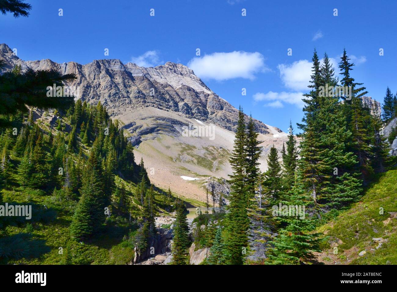 Beautiful rocky mountain with trees and meadows. Sunny day, blue sky ...