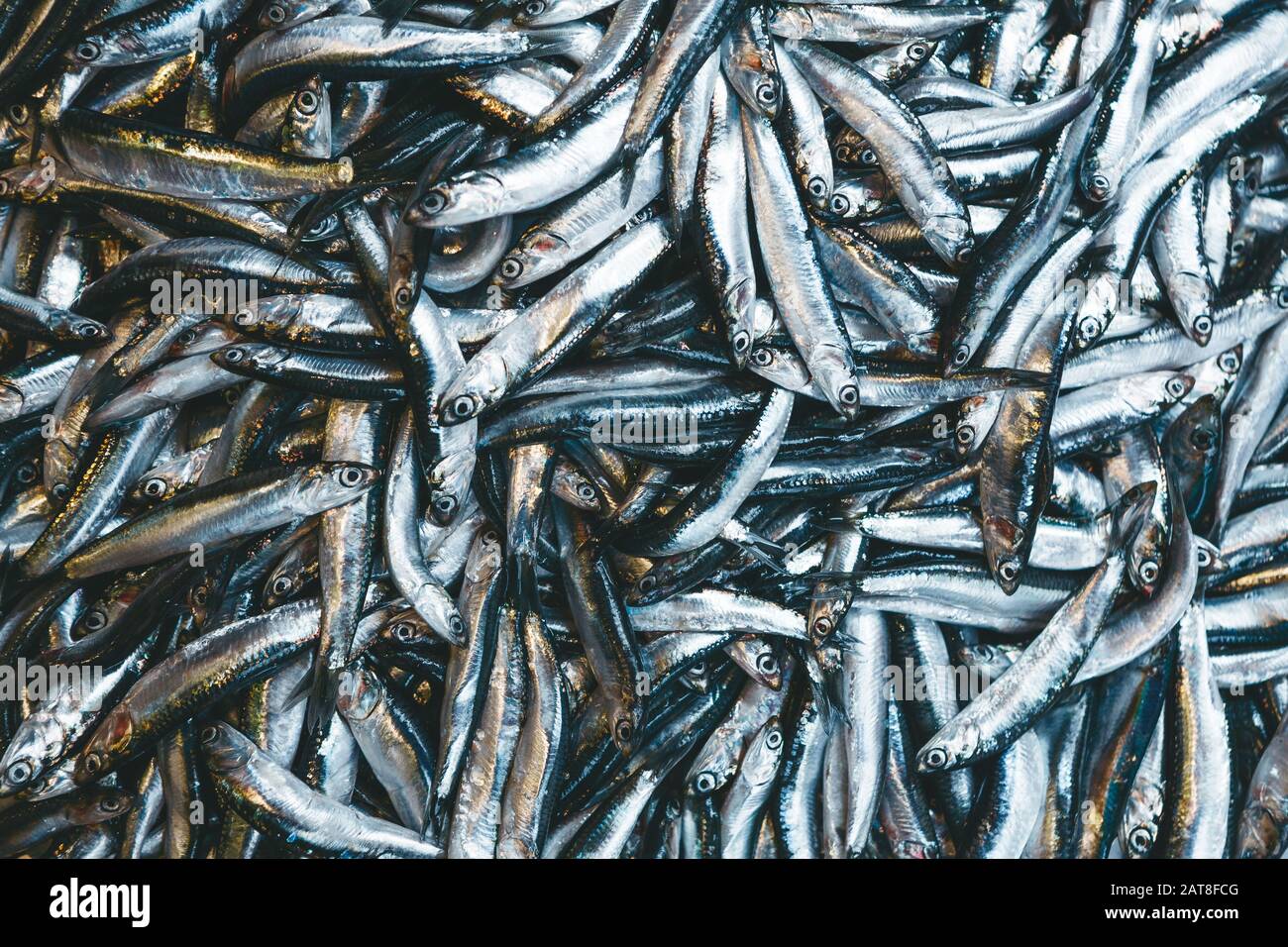 Little Fish Market High Resolution Stock Photography and Images - Alamy