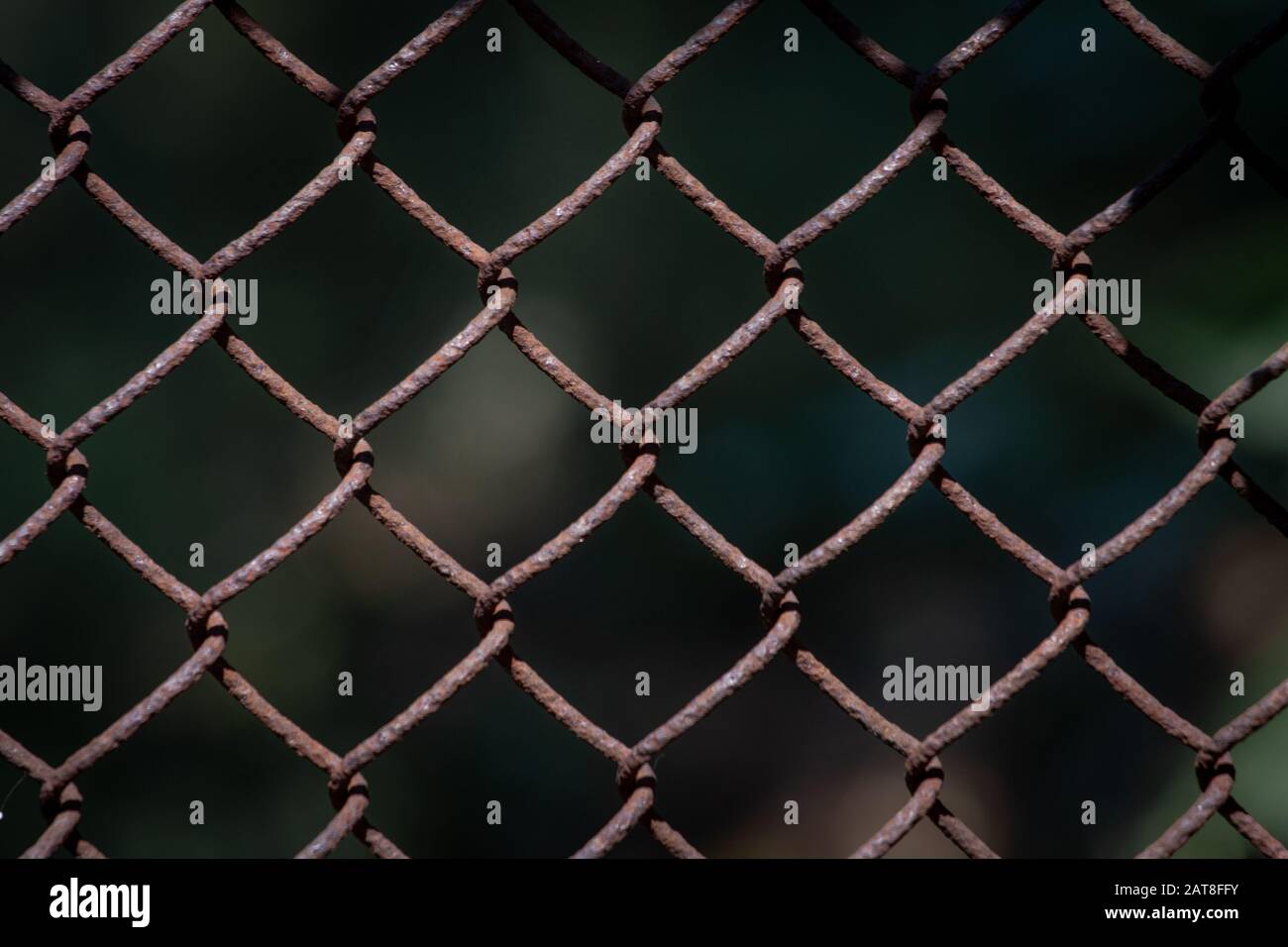 rabitz netting texture background. Fencing metal mesh fence Stock Photo ...