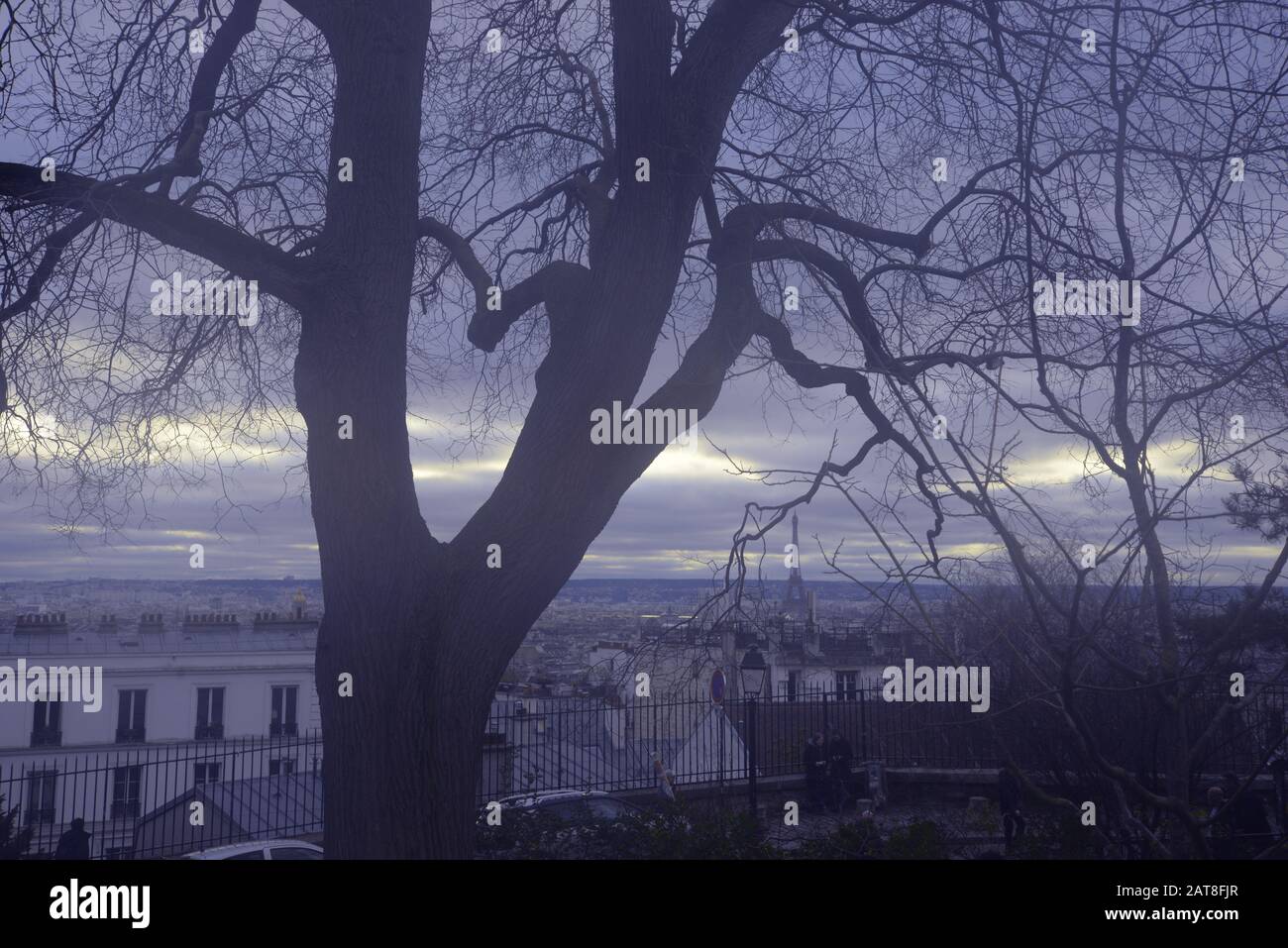 Buildings through trees hi-res stock photography and images - Alamy