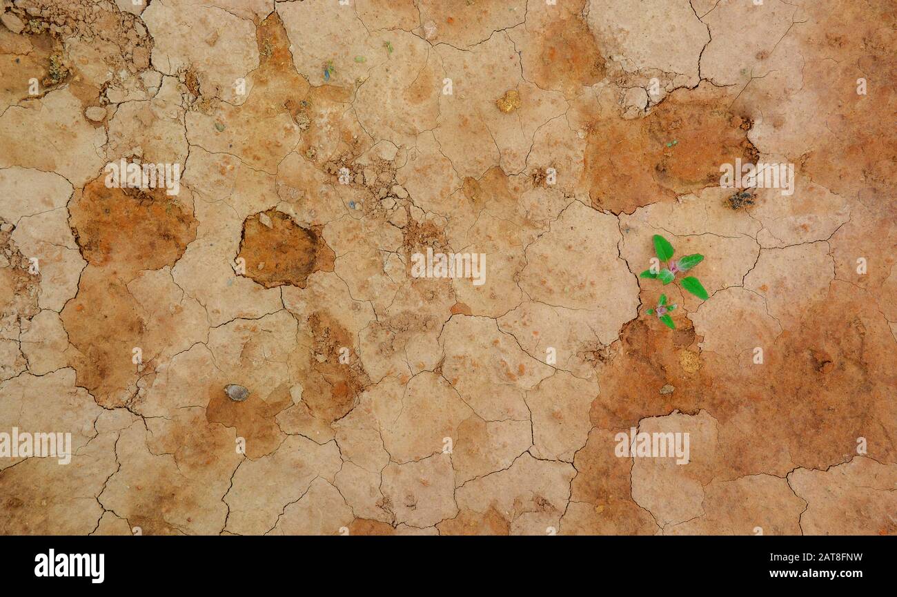 Very dry land hi-res stock photography and images - Alamy