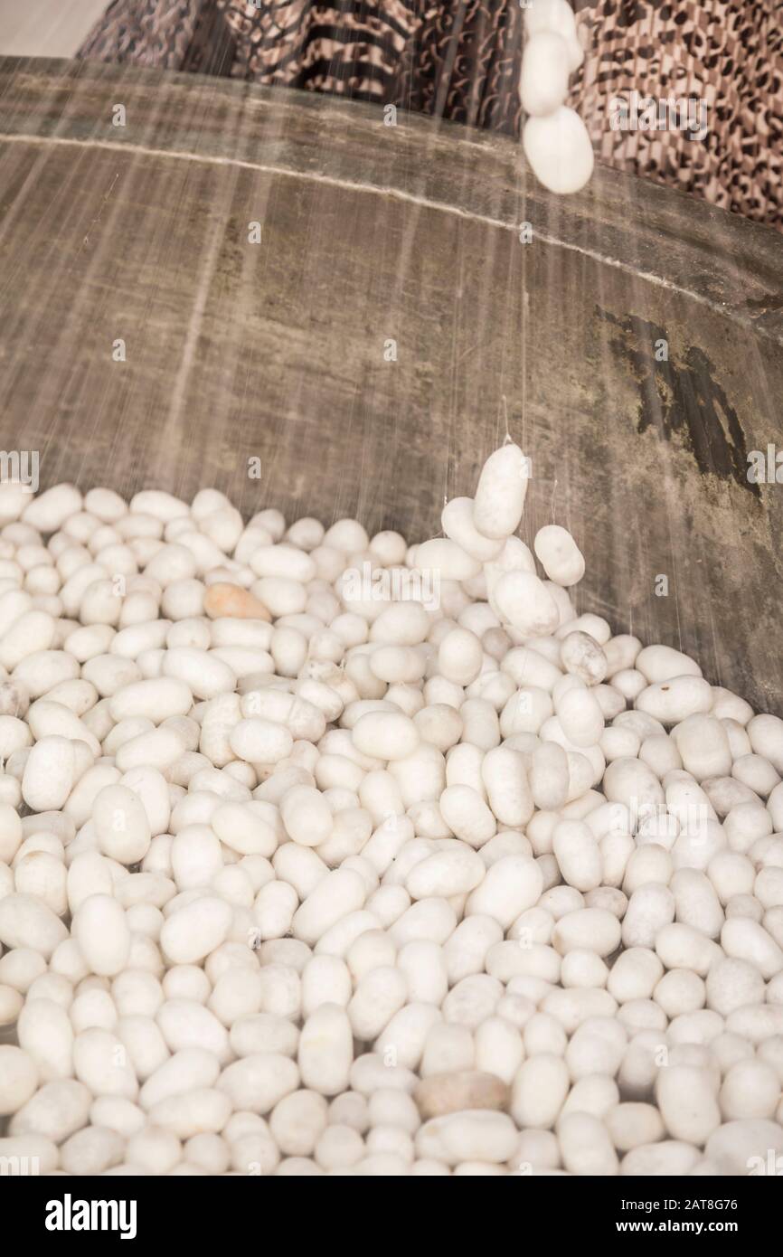 closeup boiling silkworm cocoons to produce silk rope Stock Photo - Alamy