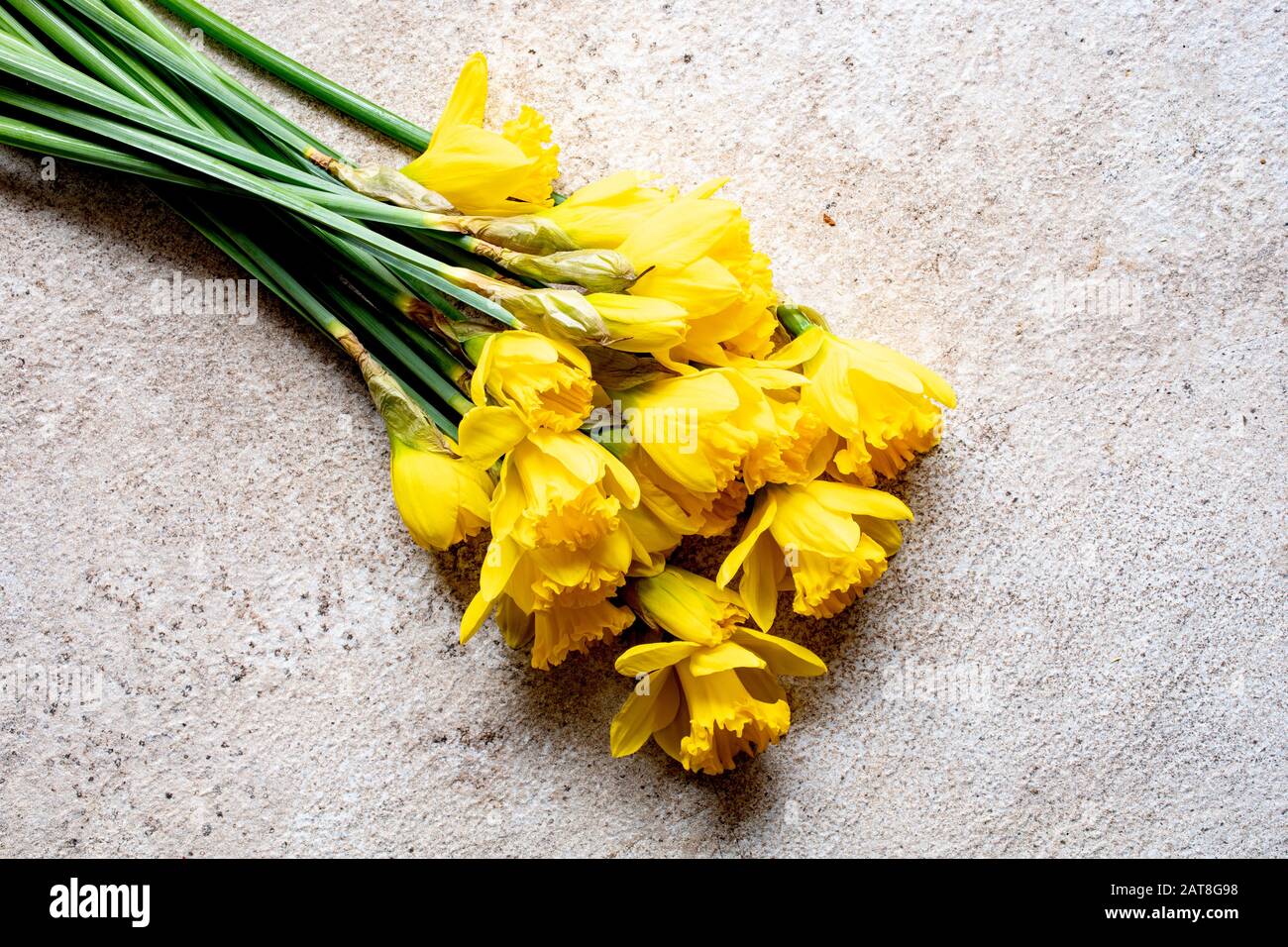 St Davids Day Daffodils Stock Photo - Alamy