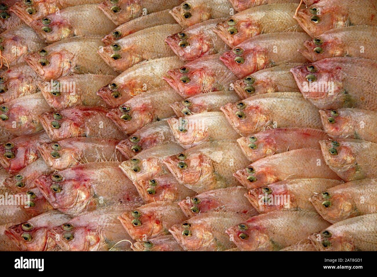 Fish fish market fishermans hi-res stock photography and images - Alamy