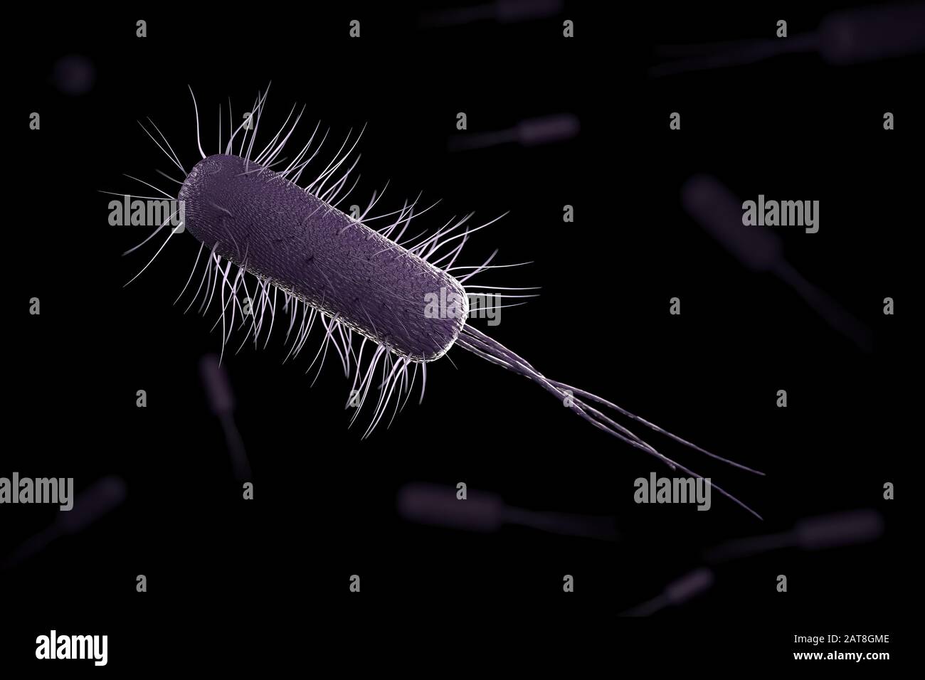 close up of microscopic bacteria , 3d illustration Stock Photo - Alamy
