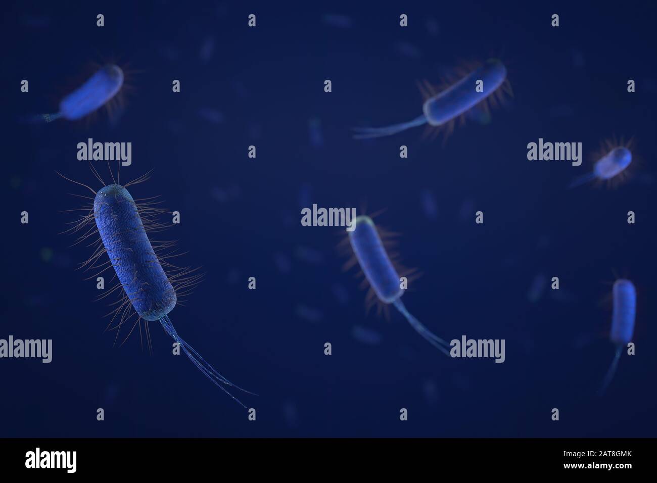 Microscopic bacteria hi-res stock photography and images - Alamy