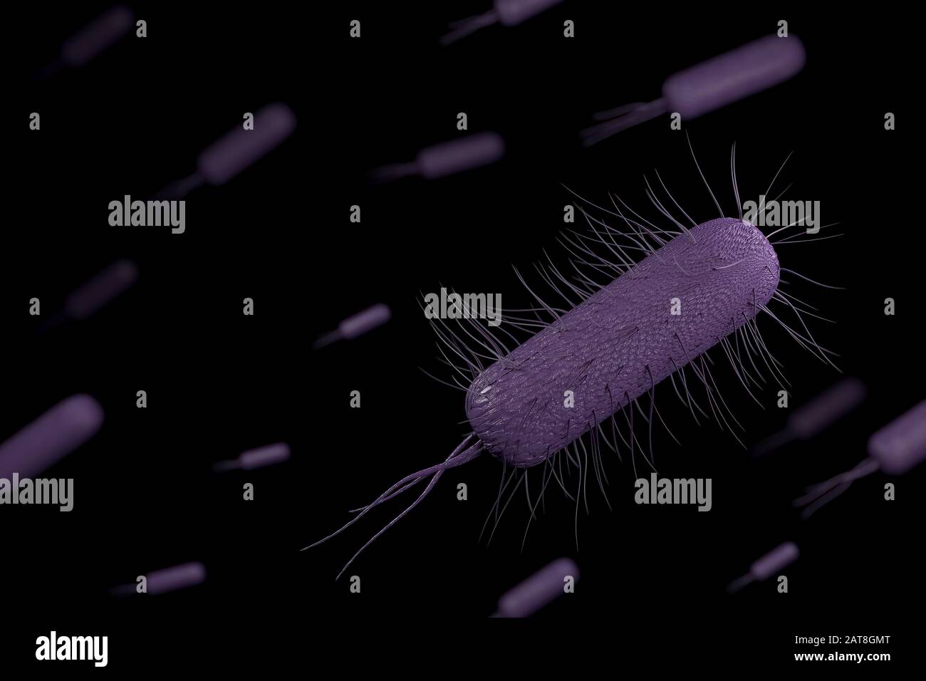 close up of microscopic bacteria , 3d illustration Stock Photo - Alamy