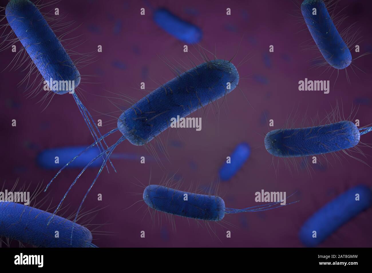 close up of microscopic bacteria , 3d illustration Stock Photo - Alamy