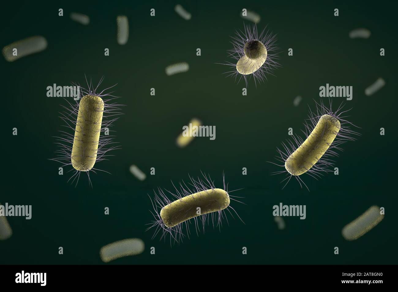 close up of microscopic bacteria , 3d illustration Stock Photo - Alamy