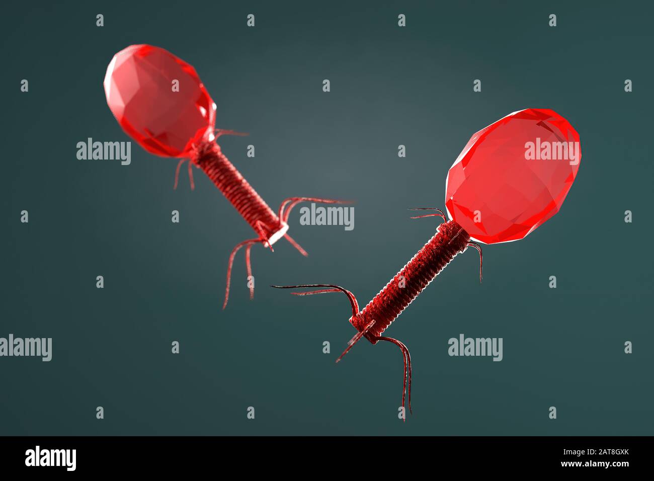 Bacteriophage hi-res stock photography and images - Alamy