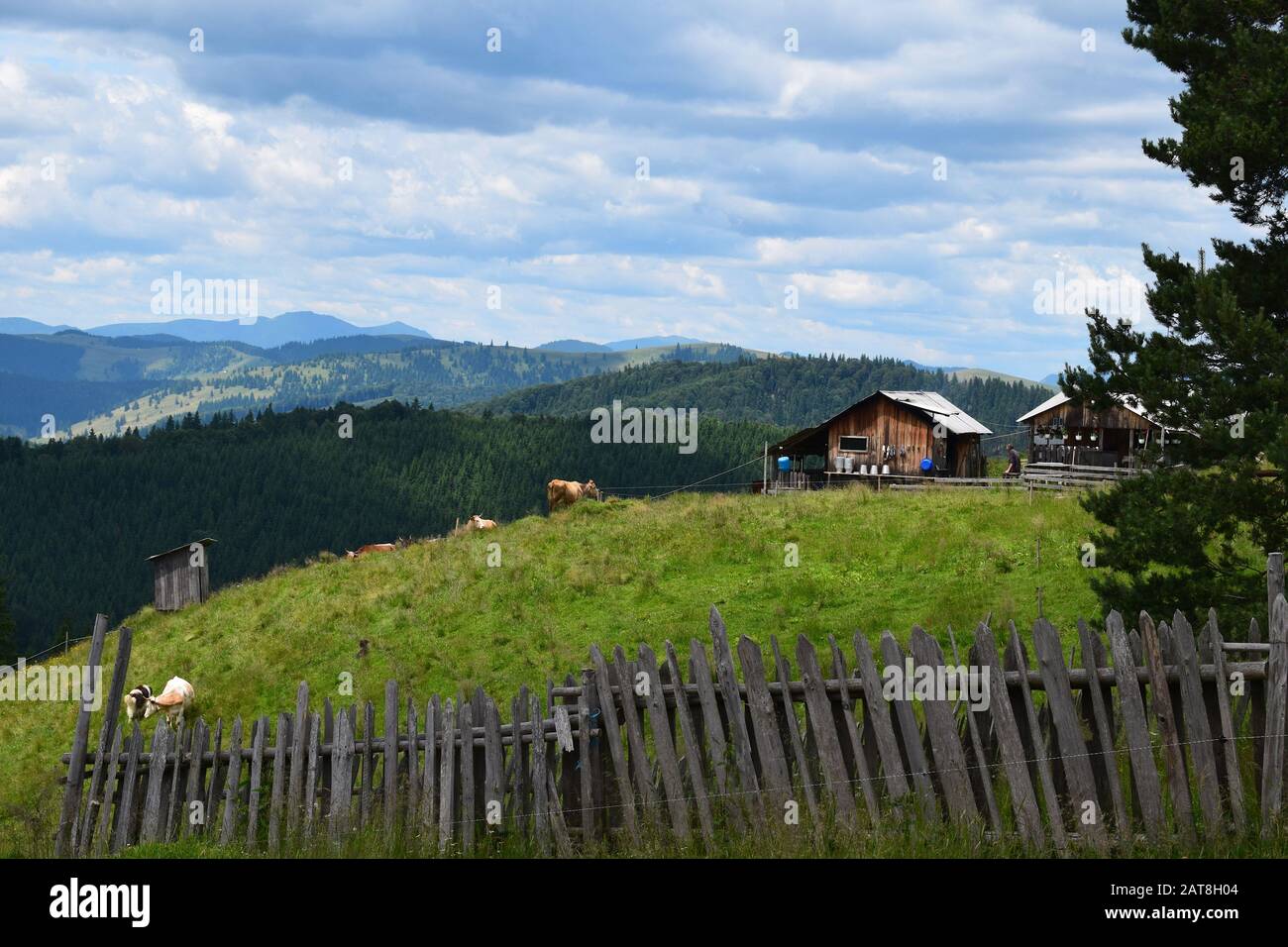 Bucovina landscape hi-res stock photography and images - Alamy